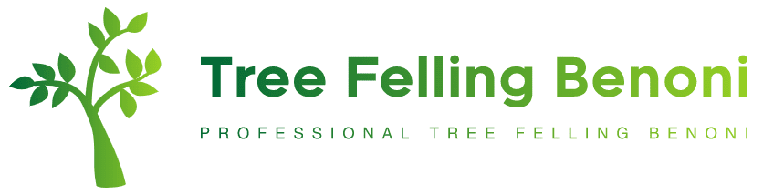 About Us - Tree Felling Benoni | Gauteng, South Africa